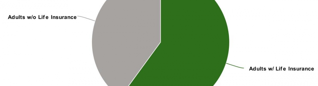 Policy Review Chart 1 - Howard Kaye Insurance Agency, LLC